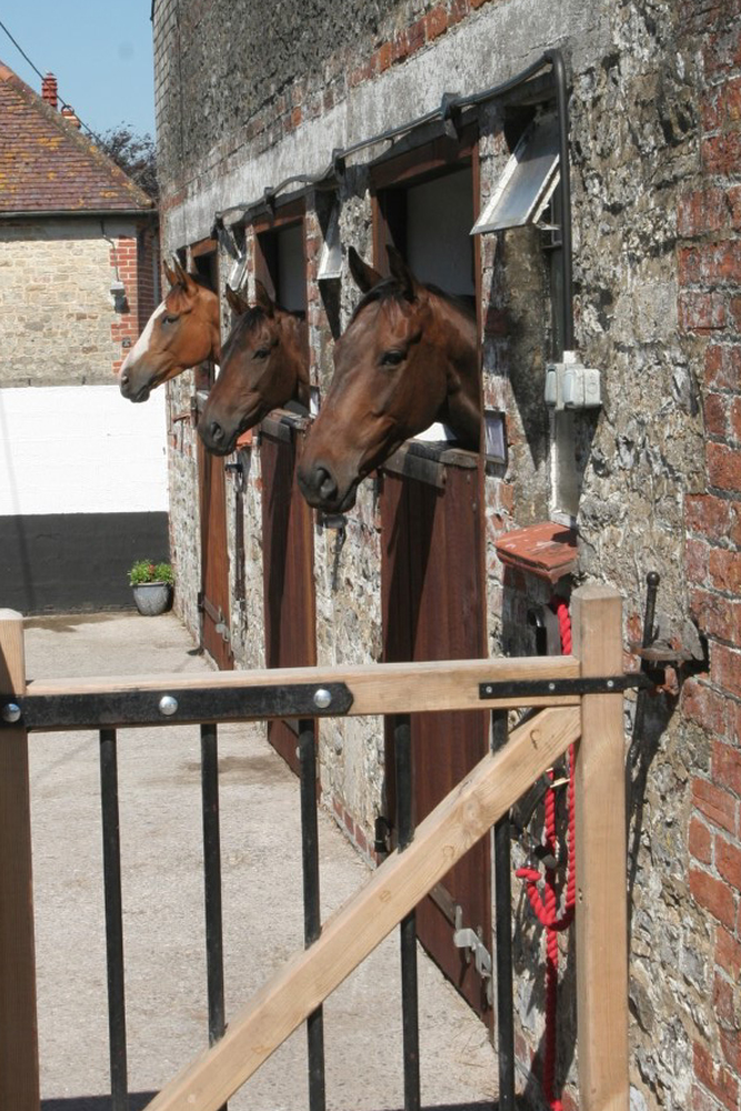 Facilities - Greenwood Racing